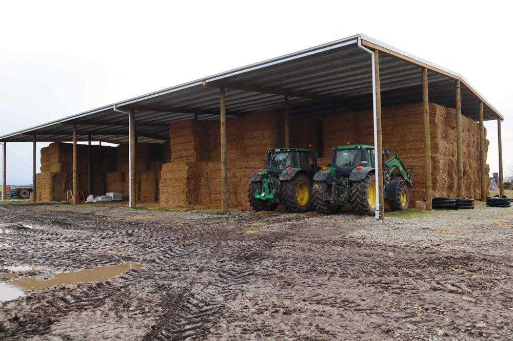 Timber vs Steel Purlins: Choosing the Right Roof Purlin System for Your ...