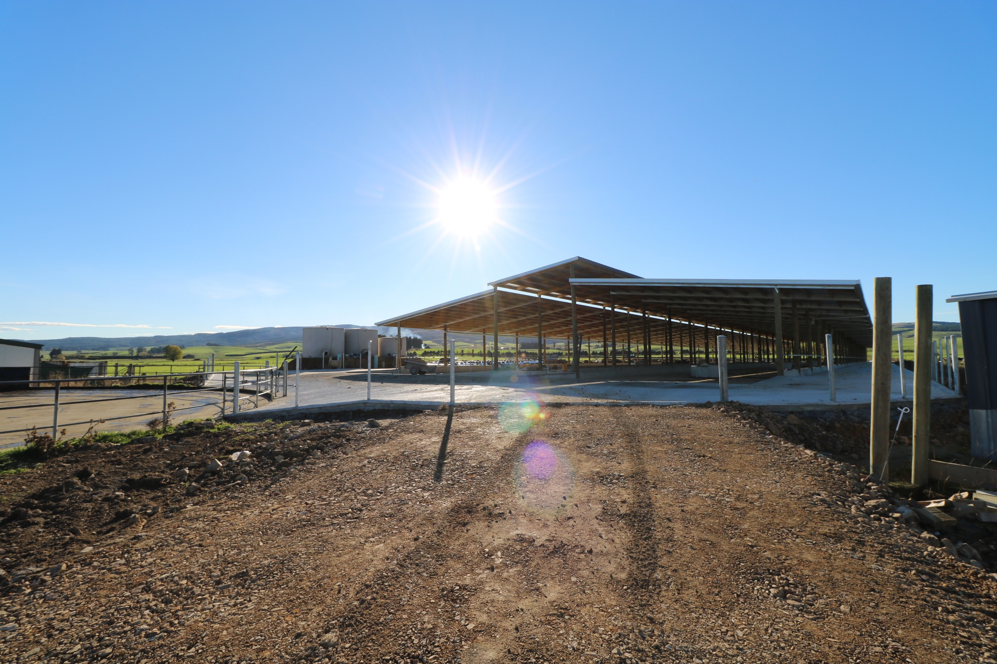 Leading Dairy Farm west Otago - Case Study