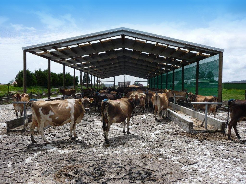 Alpine Buildings | Animal Shelters